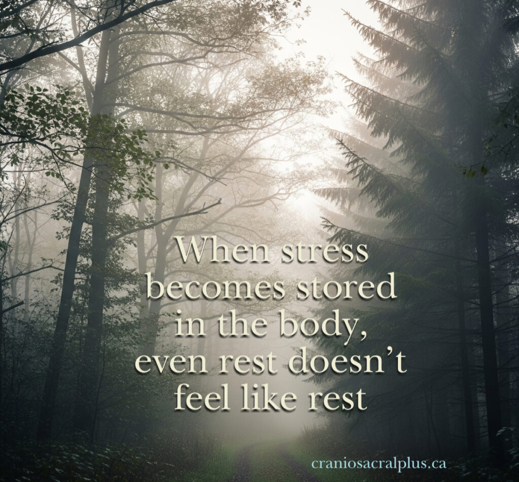 Chronic Stress and Fascia: Understanding the Link Between Tension and ...